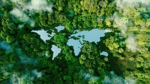 About Us - Global Hub Business Services
